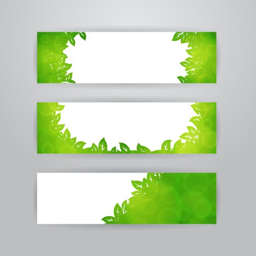 Tropical leaves banners exotic palm leaf banner Vector Image