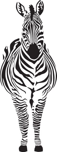 Zebra Royalty Free Vector Image - VectorStock