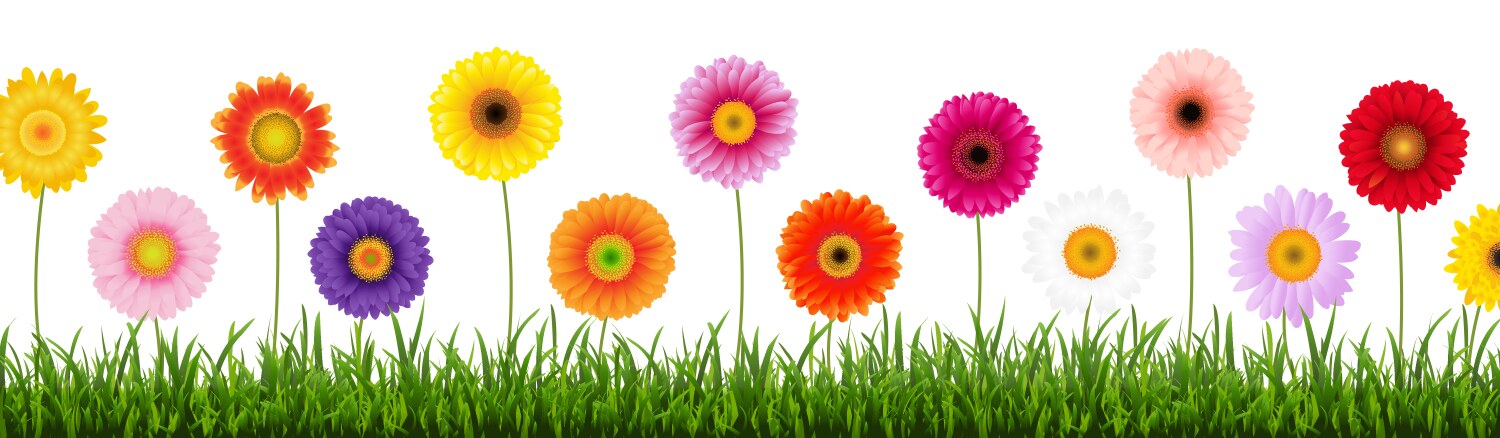 Colorful Floral Border Royalty Free Vector Image