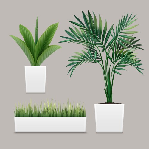 Potted Plants Vector Images (over 140,000)