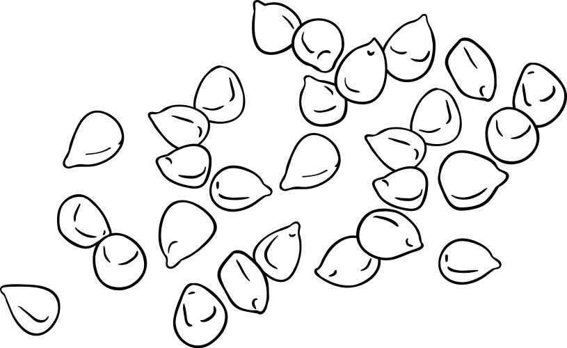 Oat plant with seeds outline Royalty Free Vector Image