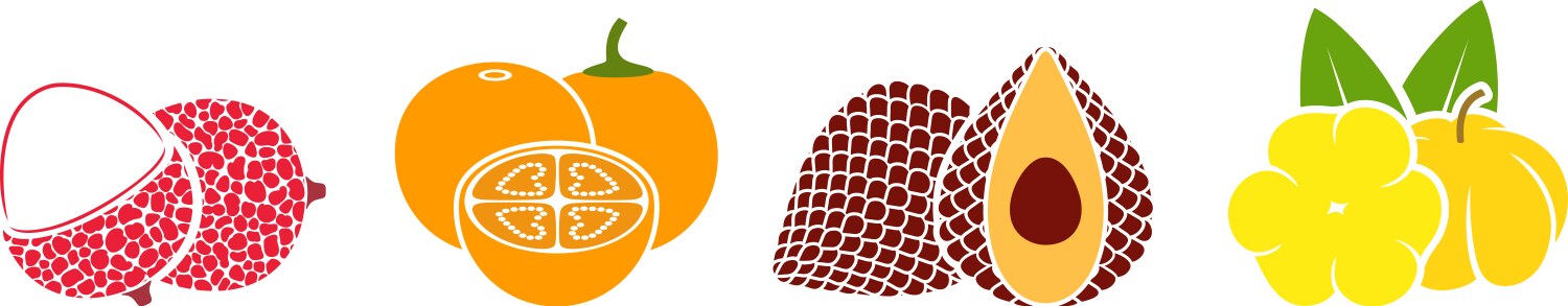 Salak Royalty Free Vector Image - VectorStock