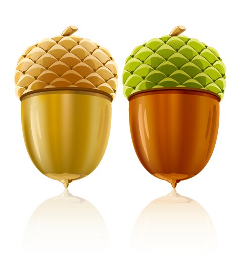 Acorn Vector Images (over 30,000)
