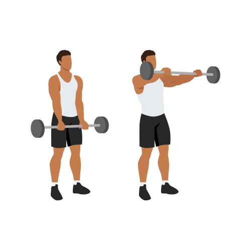 Man doing dumbbell front raise exercise Royalty Free Vector Man doing dumbbell front raise exercise Royalty Free Vector