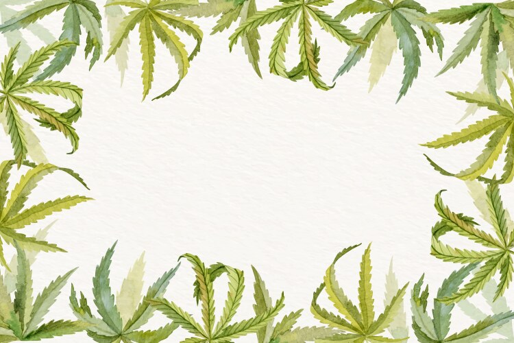 Watercolor cannabis leaf background Royalty Free Vector