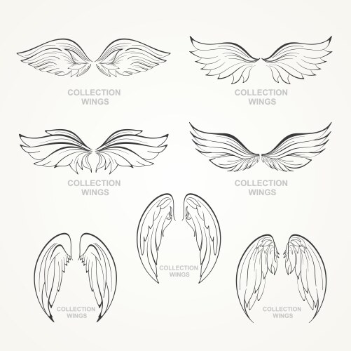 Colorful wings line set Royalty Free Vector Image