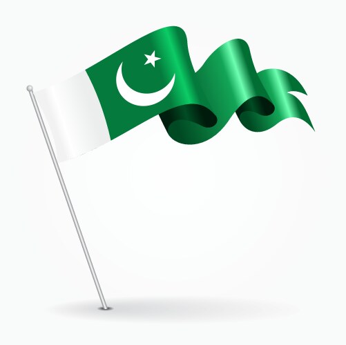 Pakistani or indian seamless design Royalty Free Vector