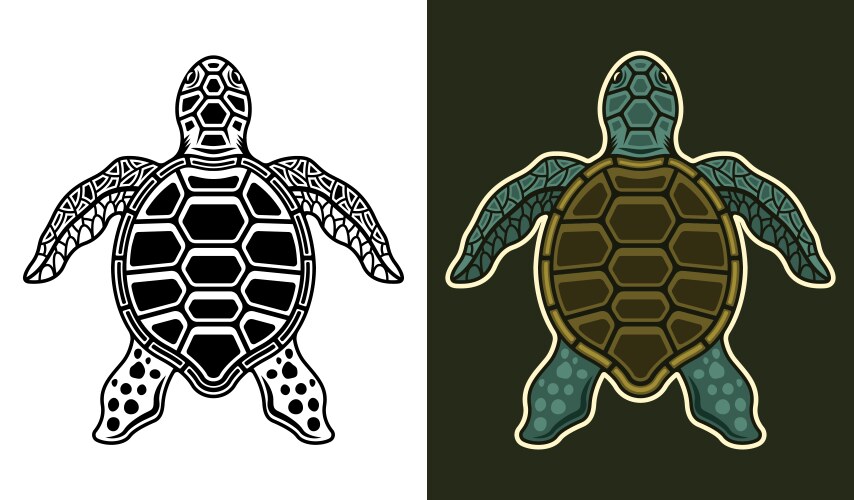 Sea Turtle Drawings From Top Turtle Tide Art Project Edisto Chamber