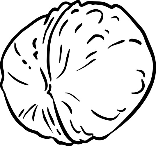 Nutshell Vector Images (over 10,000)