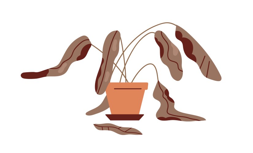 Dying Plants Vector Images (over 360)