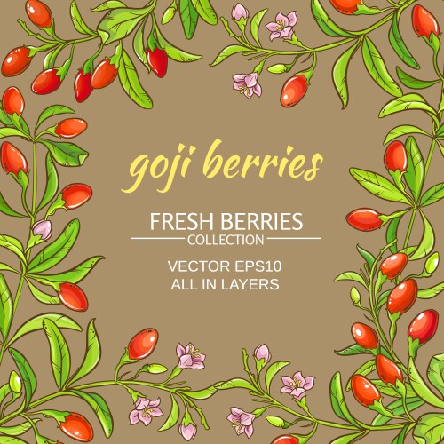 Goji berry Royalty Free Vector Image - VectorStock