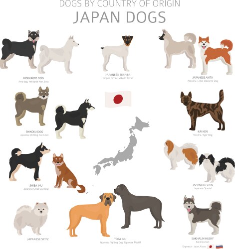 Chinese Dog Breeds - Origins & Types Vector Image