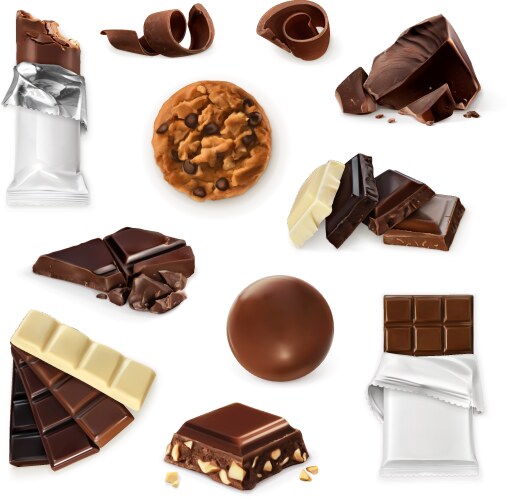 Chocolate pieces Royalty Free Vector Image - VectorStock