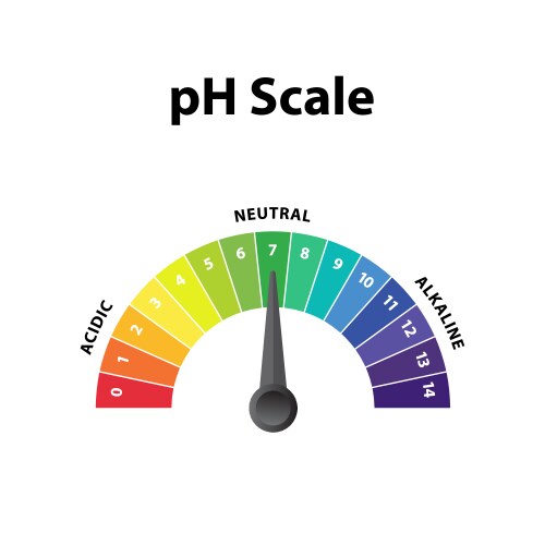 Ph Indicator Chart Vector Images (over 330)