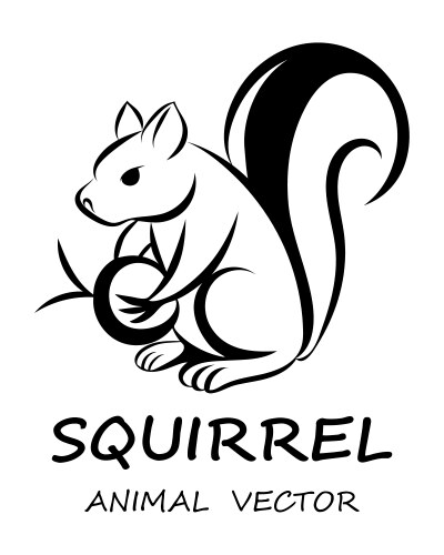 Squirrel outline Vector Images & Graphics for Commercial Use | VectorStock