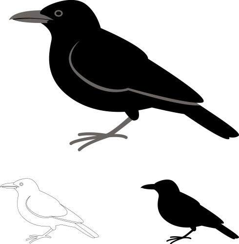 Crow Cawing Vector Images (over 290)