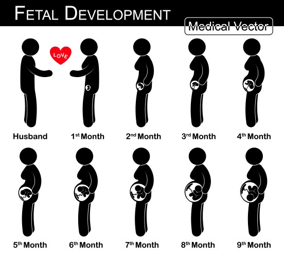 Child Development Vector Images (over 26,000)