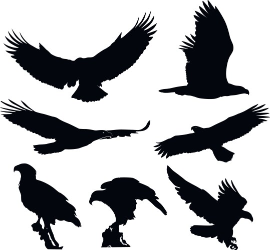 Eagle Vector Images (over 78,000)