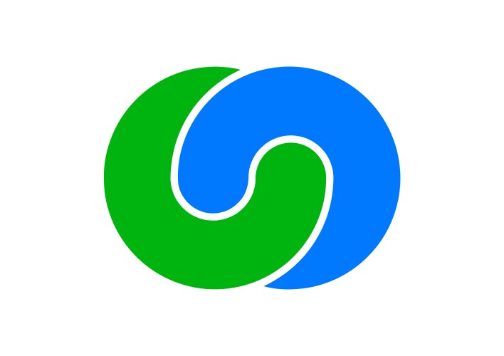 Flag of rustavi Royalty Free Vector Image - VectorStock