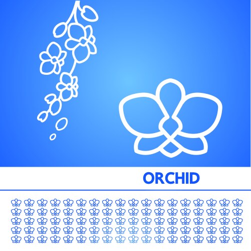Orchid design Royalty Free Vector Image - VectorStock
