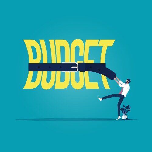 Budget Vector Images & Graphics for Commercial Use | VectorStock