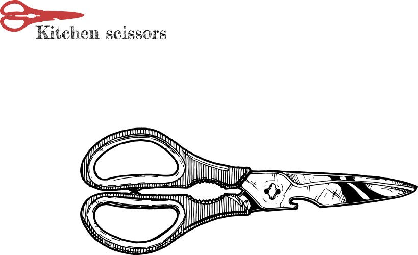 Kitchen supplies Royalty Free Vector Image - VectorStock