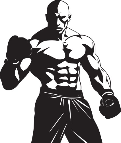 Mma Kooi Vector KO MMA Fighting Vector Free Download