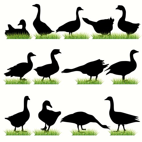 Goose Vector Images (over 30,000)