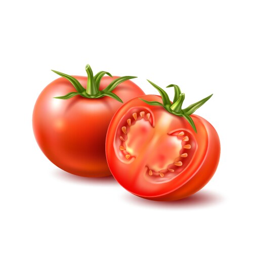 Tomato Vector Images (over 130,000)