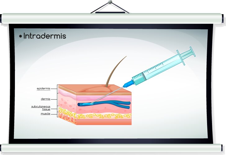 Injection Vector Images (over 80,000)
