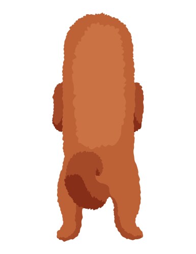 Dog Back View Vector Images (over 370)