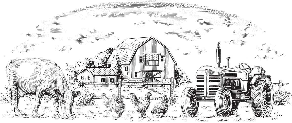 Chicken and eggs sketch Royalty Free Vector Image