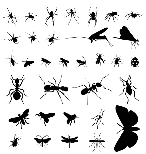 Insect Vector Images (over 220,000)