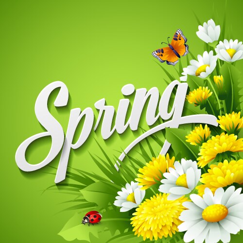 Fresh spring background with grass dandelions Vector Image