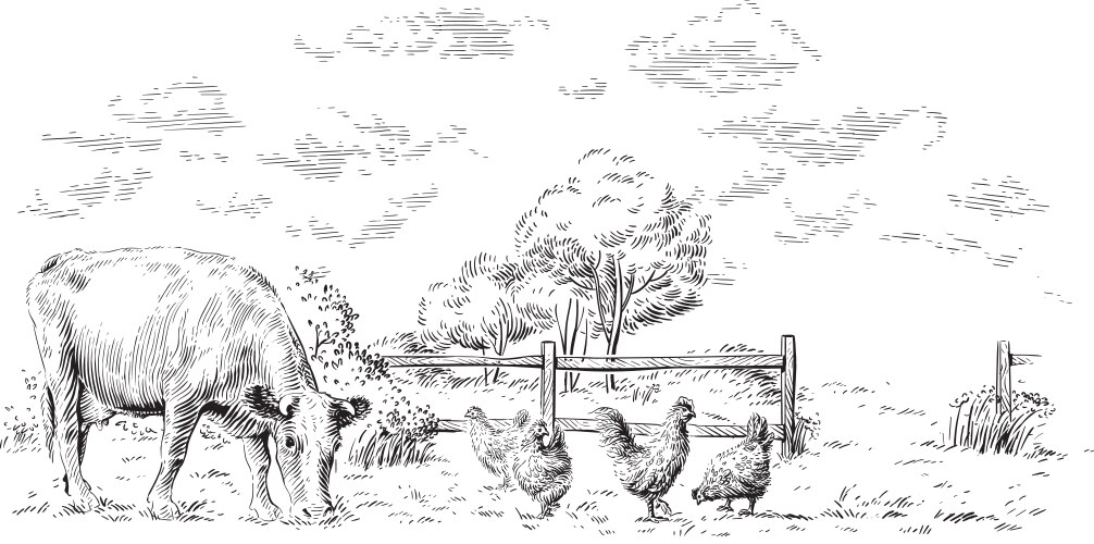 A path to farm landscape hand drawing Royalty Free Vector