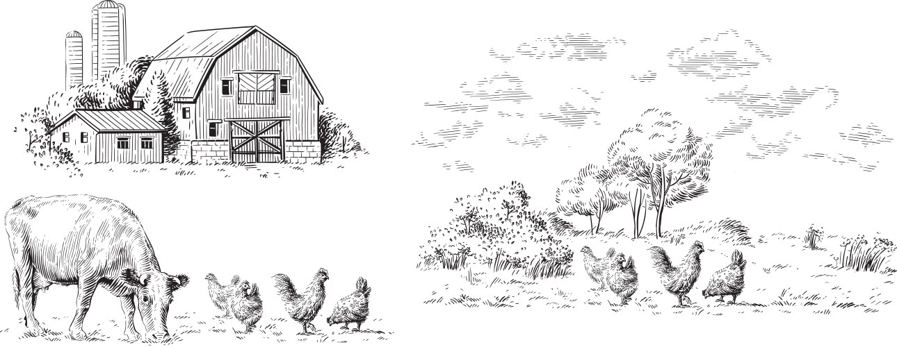 Rural landscape farm barn and windmill sketch Vector Image