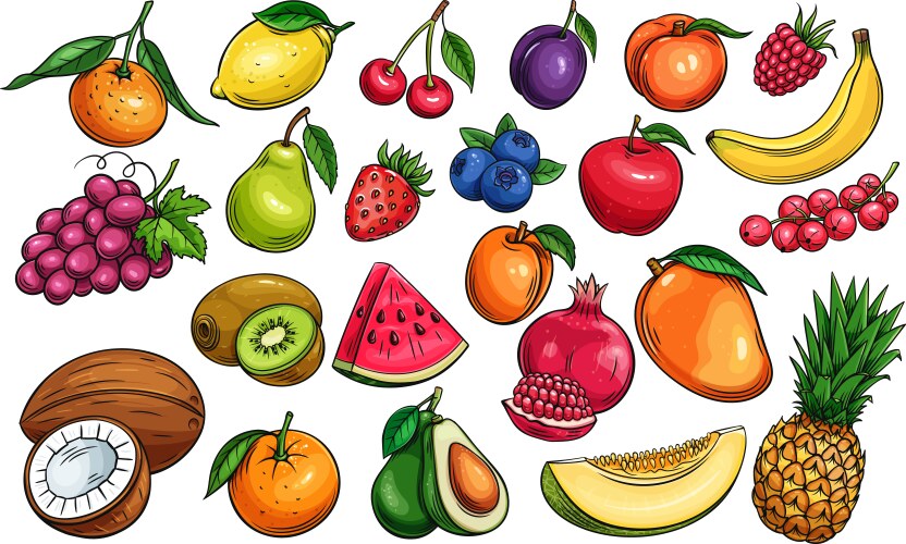 Fruit Vector Images (over 870,000)