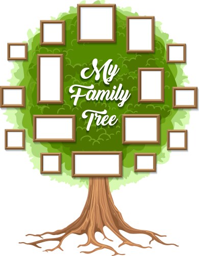 Family tree with photo frame isolated on white Vector Image