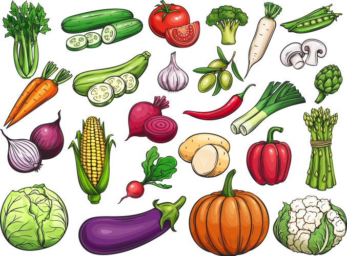 Vegetables Vector Images (over 620,000)