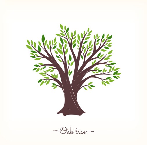 Oak Tree Vector Images (over 59,000)