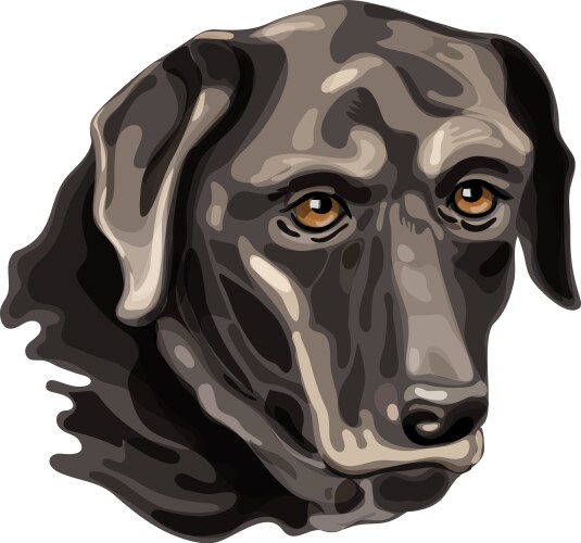 Black Labrador Retriever Vector Images (over 3,500)