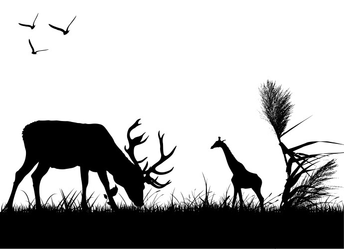 Wildlife Vector Images (over 890,000)