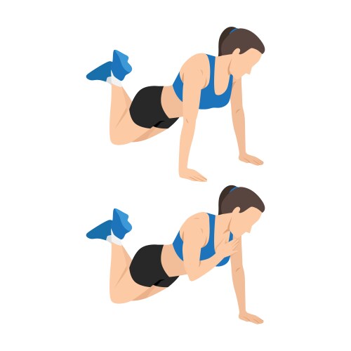 Woman doing incline plank shoulder taps exercise Vector Image