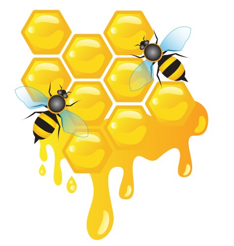 Honey Royalty Free Vector Image - VectorStock