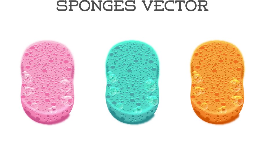 Sponge Vector Images (over 40,000)