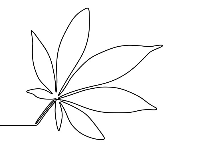 Cannabis Leaf Line Drawing Vector Images (over 980)