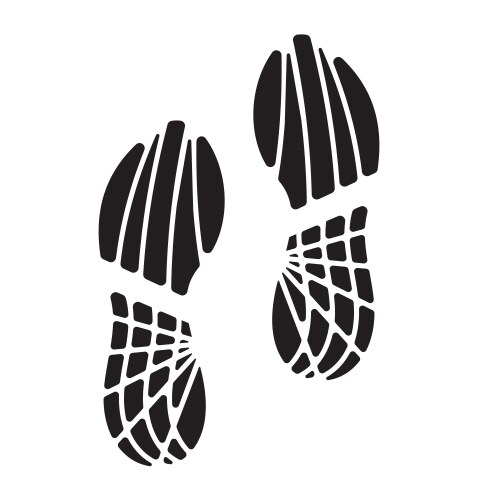 Foot arch types Royalty Free Vector Image - VectorStock