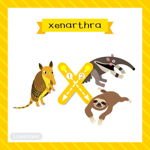 Letter X Lowercase Tracing Vector Images (33)