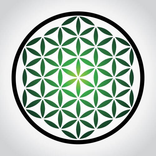 Tree of Life Vector Images (over 100,000)