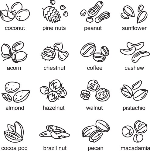 Nuts Vector Images (over 77,000)